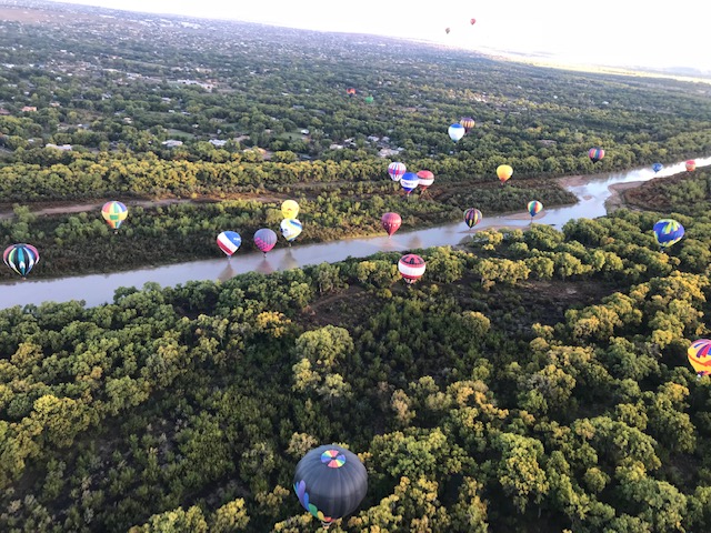 The Fiesta that won’t be…