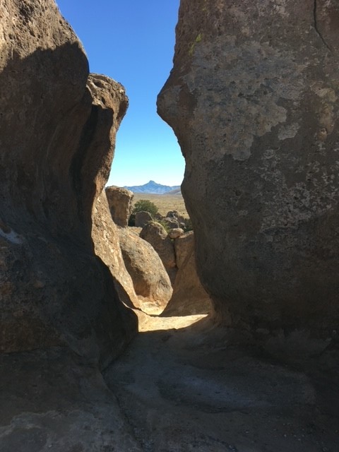 Another overlooked Chihuahuan Desert gem…